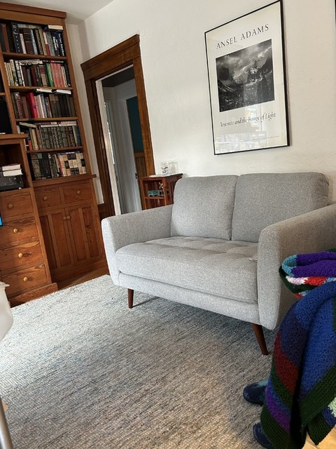 Living spaces ginger grey sofa store